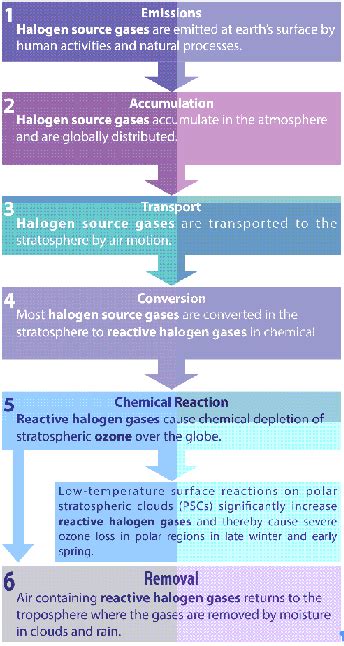 Ozone Layer Depletion Causes Effects And Control Measures