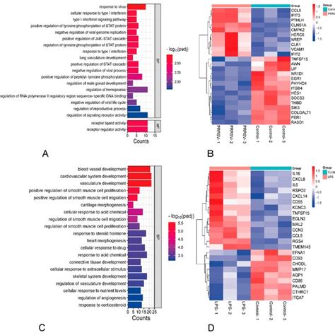 Histogram Of Go Enrichment Analysis And Heatmap Of Primarily Download Scientific Diagram