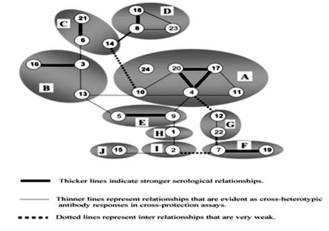 Serological Relationships Beteween Btv Serotypes Mann Etal 2007 Download Scientific Diagram