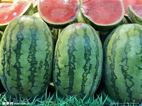西瓜摄影图 水果 生物世界 摄影图库 昵图网nipic