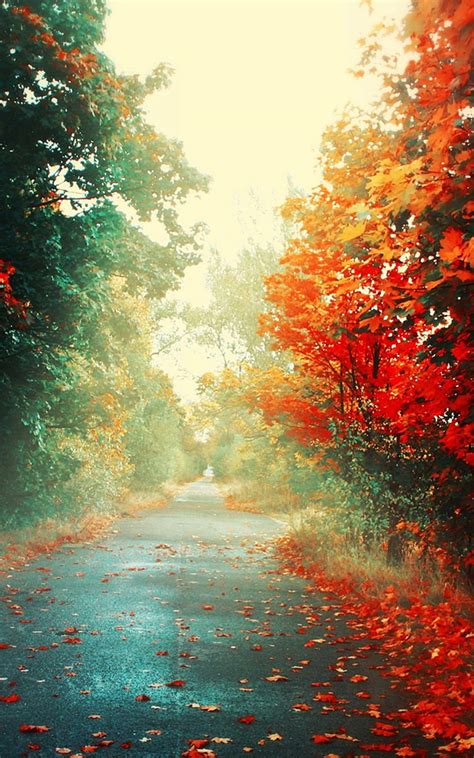 Autumn Tablet Wallpapers Wallpaper Cave