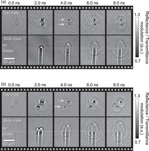 Dual View Observation Of Shock Waves Induced By Parallelized Excitation Download Scientific