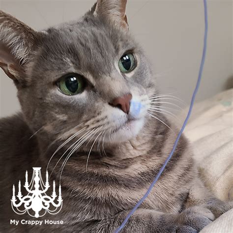 Where To Hang A Ceiling Light Fixture My Crappy House