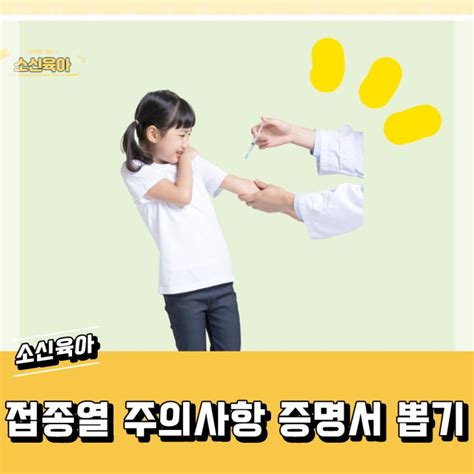 아기 독감예방접종 증명서 주의사항 2개월 4개월 접종열 W 영유아 신생아 돌 확인서 네이버 블로그