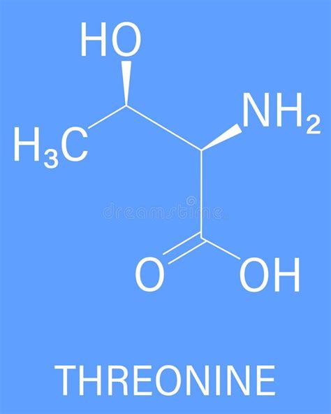 Threonine Or L Threonine Thr T Amino Acid Molecule Skeletal Formula Stock Vector