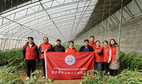 服务山东省科技特派员创新创业共同体济南果蔬保鲜与加工产业服务团赴莱芜明利蔬菜合作社开展技术推广服务 果所要闻 中国果蔬贮藏加工技术网 济南