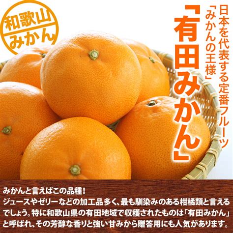 楽天市場和歌山みかん みかん 10kg 農家直送 前角園の高級有田みかん 2Lサイズ 蜜柑 10キロ ギフト用お歳暮 有田みかん
