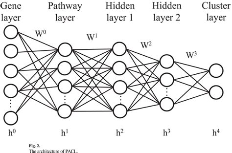 Figure 2 From Pathway Based Deep Clustering For Molecular Subtyping Of