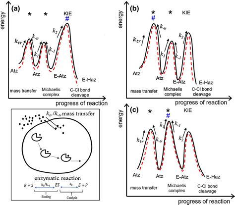 Hypothetical Schemes Of Masking Effects Led To Variation Of Observed Download Scientific