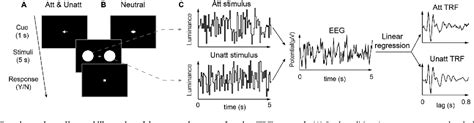 Figure 1 From Selective Spatial Attention Involves Two Alpha Band Components Associated With