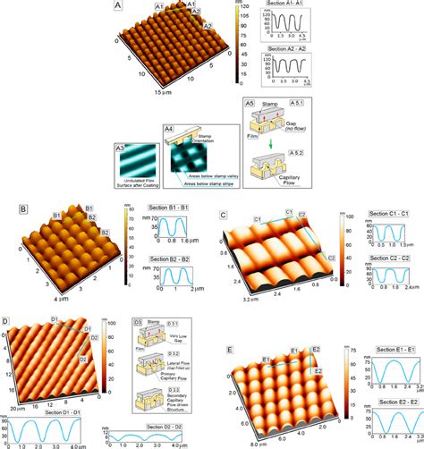 Final Morphology Of The Complex 2 D Patterns Obtained Under Various