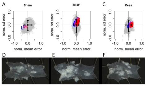 The Apoe Mouse Physiolab® Platform A Validated Physiologically Based Mathematical Model Of
