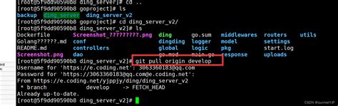 docker部署golang项目 csdn博客