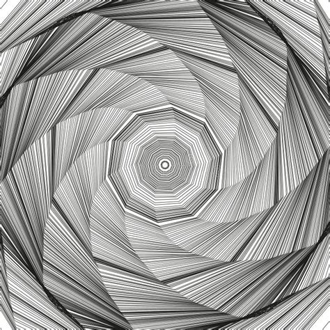 Intricate Line Spiral Abstract Swirl Shape Black White Geometry