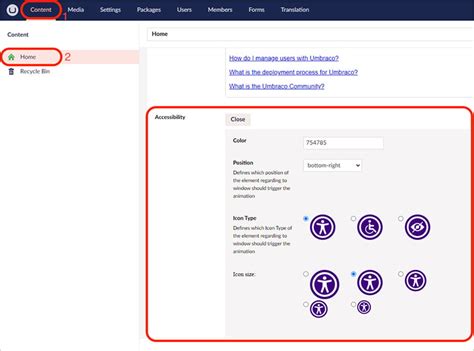 Umbraco ADA Web Accessibility Widget Installation