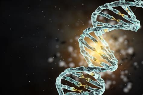 DNA Definition And Structure
