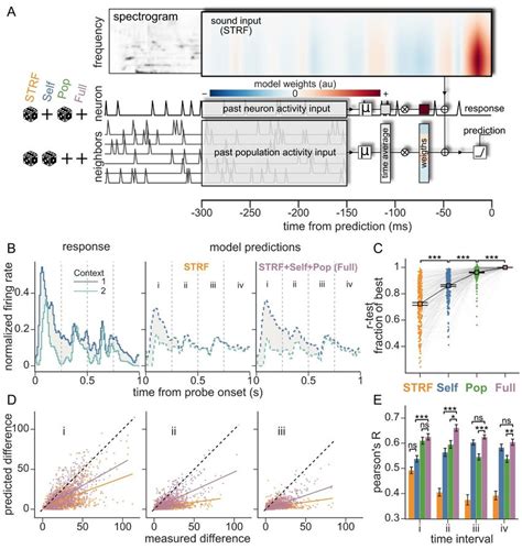 Local Population Activity Predicts Subsequent Context Effects A