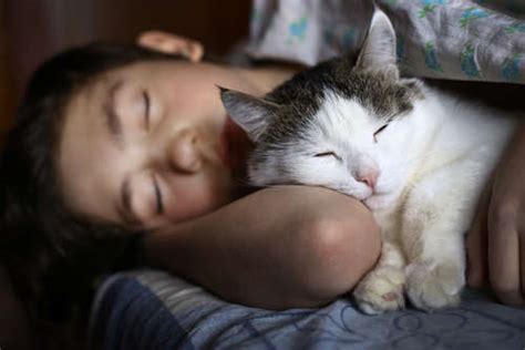 【獣医師監修】猫は夜行性？ 夜中に猫が活動する理由と対策 Peco（ペコ）