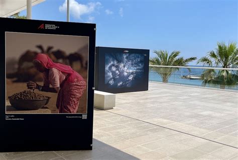 Princes Foundation To Launch 3rd Environmental Photography Award