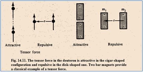 The Nuclear Force The Physics Detective