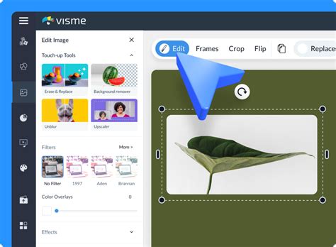 Easy Background Remover To Amplify Your Designs Visme