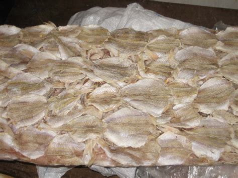 Frozen Threadfin Bream Suppliersexporters On
