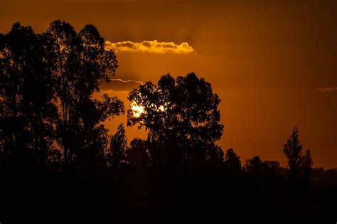 Premium Photo Orange Sunrise With Sun Behind Trees
