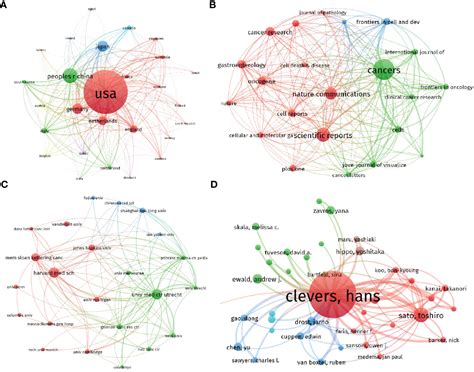 Frontiers Global Cluster Analysis And Network Visualization In
