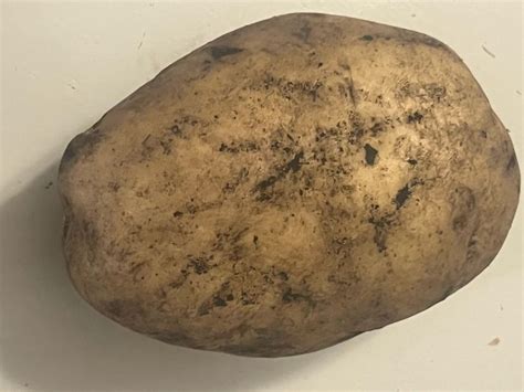 Humourous Lawyers Are Such A Treat Deidre Norris