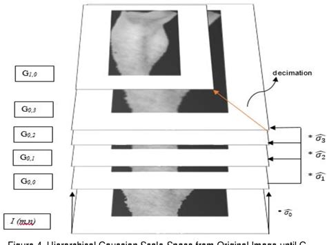Figure 4 From Hierarchical Gaussian Scale Space On Androgenic Hair Pattern Recognition