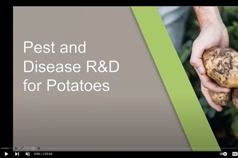 Biological Products And New Phosphorus Fertiliser Technology For Potato Productivity — Potatolink