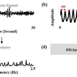 Overview Of Signal Extraction And Signal Estimation A Facial Video Download Scientific