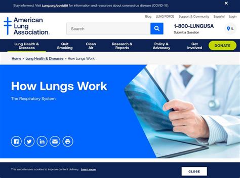 American Lung Association How Lungs Work Interactive For 9th 10th