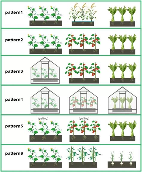 Geoderma：土壤微生物群落结构、潜在生态功能和土壤理化性质对黄瓜不同栽培方式的响应 哔哩哔哩
