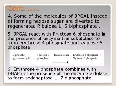 C3cycle And C4 Cycle Pptx