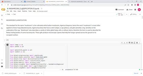 Balaga Rani On Linkedin Ybifoundation Ybif Internship Ybiintern