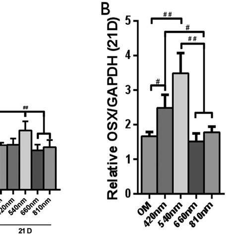 Quantitative Evaluation Of Mrna Levels Via Real Time Pcr Of Runx2 A