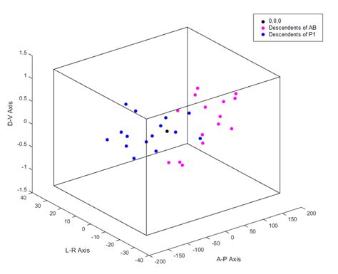 Visualization Of Spatial Segregation By Differentiation Code For The Download Scientific