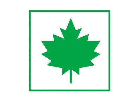 Klevo Lapas Ket Terminas Tema 15minlt