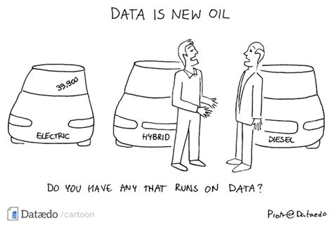Dataedo Data Cartoon