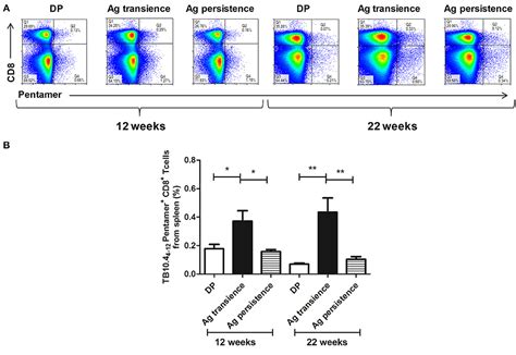 Frontiers Il 2 Restores T Cell Dysfunction Induced By Persistent Mycobacterium Tuberculosis
