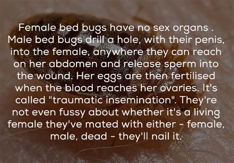 17 Unbelievable Sex Facts They Didn T Teach You In Babe EBaum S World
