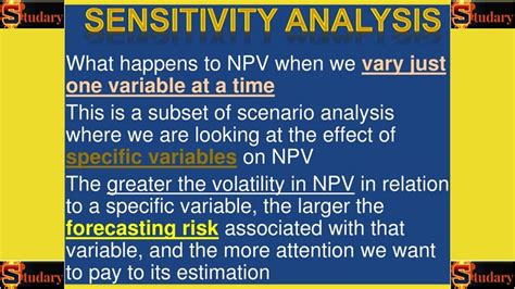 Variables In Npv Analysis Maximizing Investment Decision Making Kector Essays