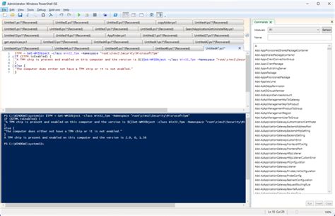 Check If TPM Chip Is Present And Enabled And Retrieve Version With
