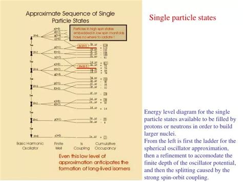 PPT Single Particle States PowerPoint Presentation ID