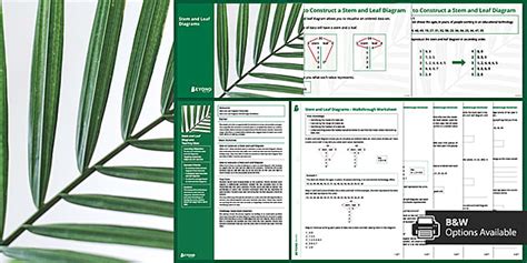 Stem And Leaf Plot Definition And Examples Teaching Wiki