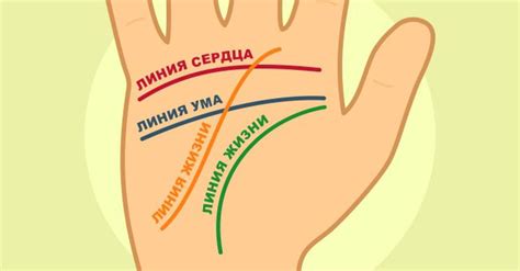 Хиромантия для начинающих с разъяснениями и фото Хиромантия