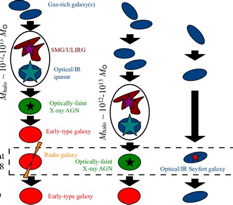 Simple Schematic Of Agn And Galaxy Evolution As Described In § 4