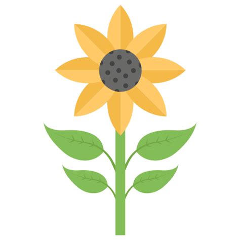 Sunflower Free Nature Icons